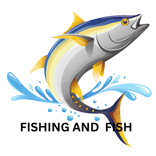 Stradic 500 Reel: Can It Be Used for Ice Fishing? Tips and Benefits ...